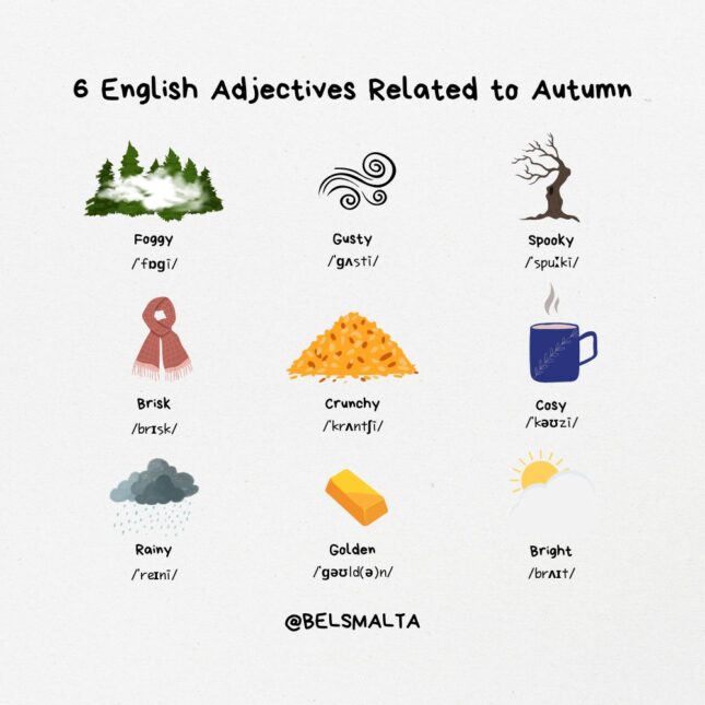 Ultimate Guide to Autumn Phrases & Idioms in English - BELS Malta
