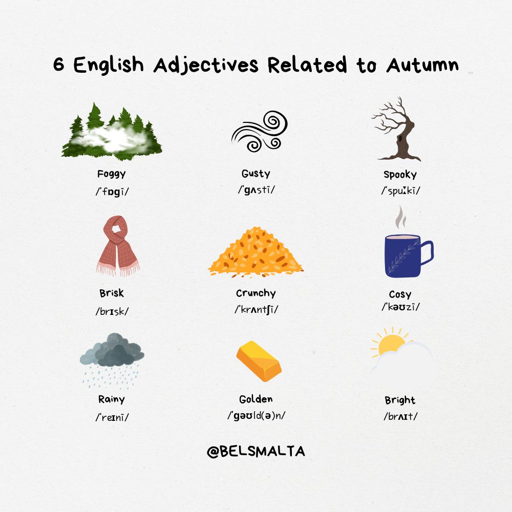 Ultimate Guide to Autumn Phrases & Idioms in English - BELS Malta
