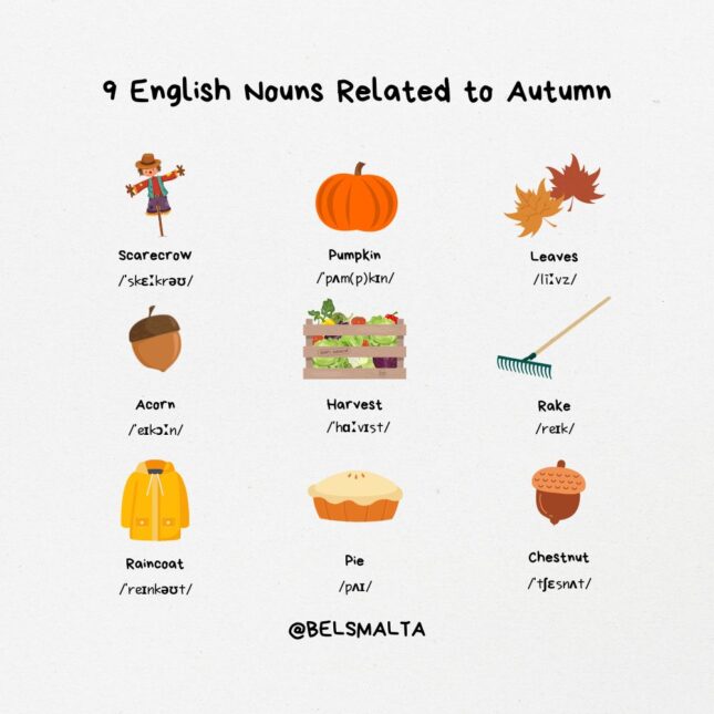 Ultimate Guide to Autumn Phrases & Idioms in English - BELS Malta